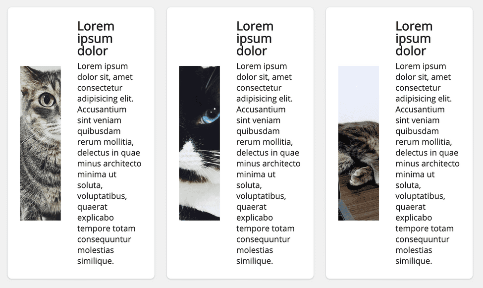 CSS Grid e Flexbox - Quando utilizar? | Felipe Fialho - Front-end Developer